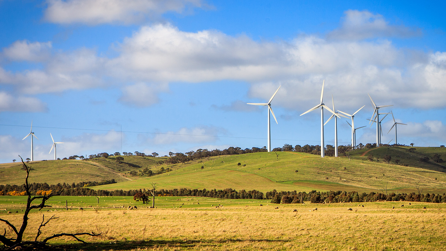 Challicum Hills wind farm put $37 million into country Victoria ...